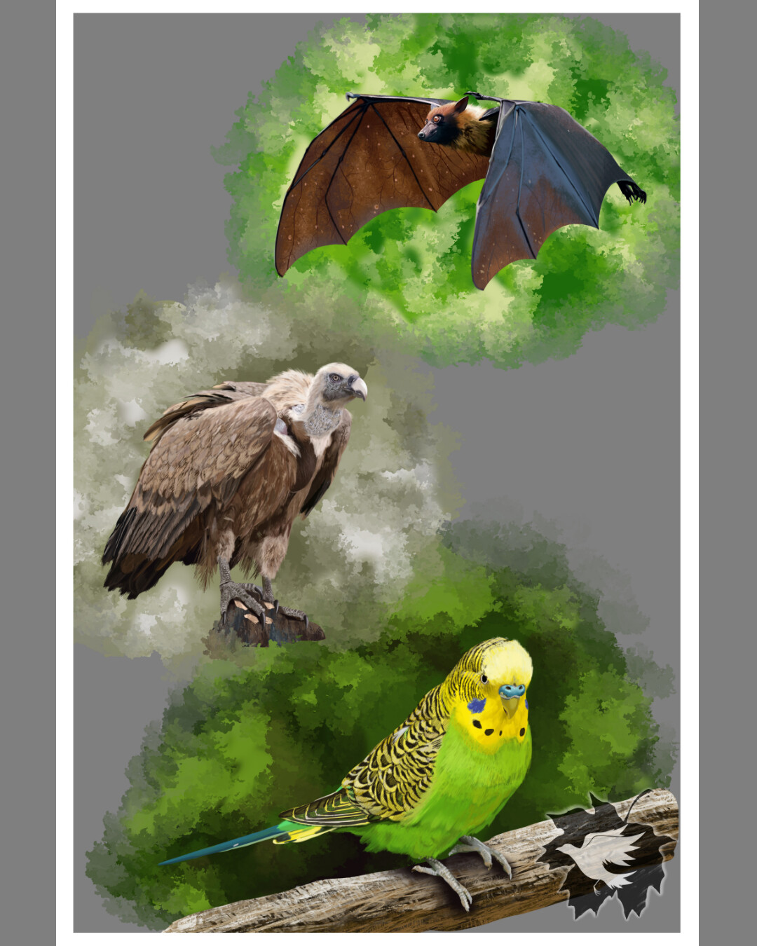 ArtStation - Flying Reals Animals