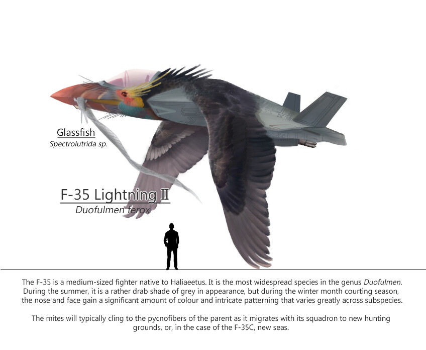ArtStation - F-35A Size Comparison