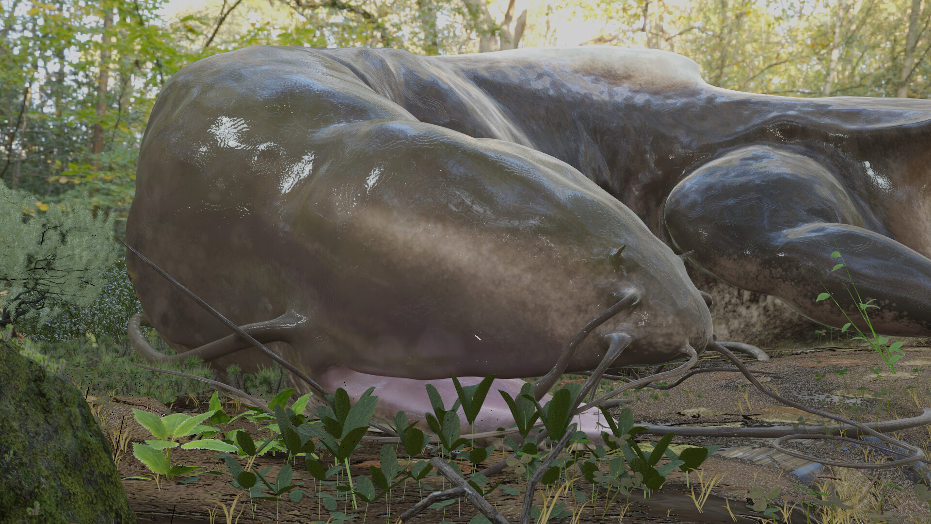 ArtStation - Catfish model