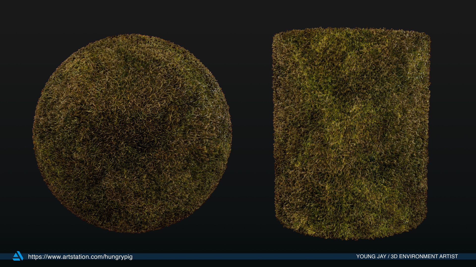 ArtStation - vegetation modeling&texturing experiment