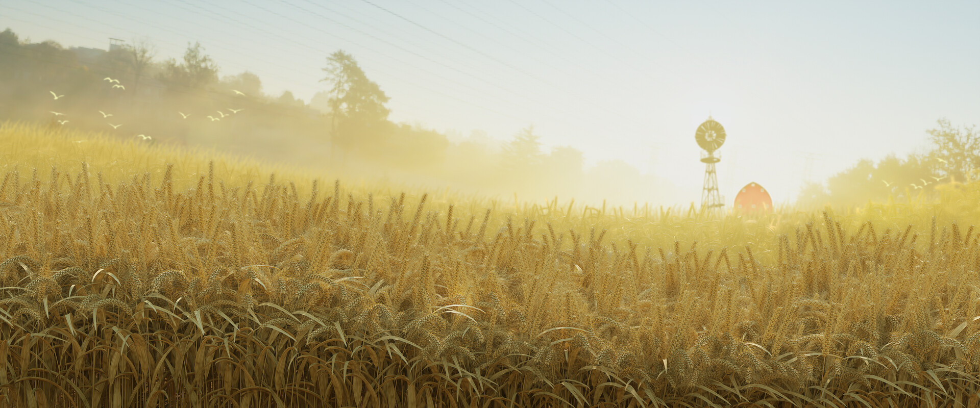 ArtStation - Wheat field