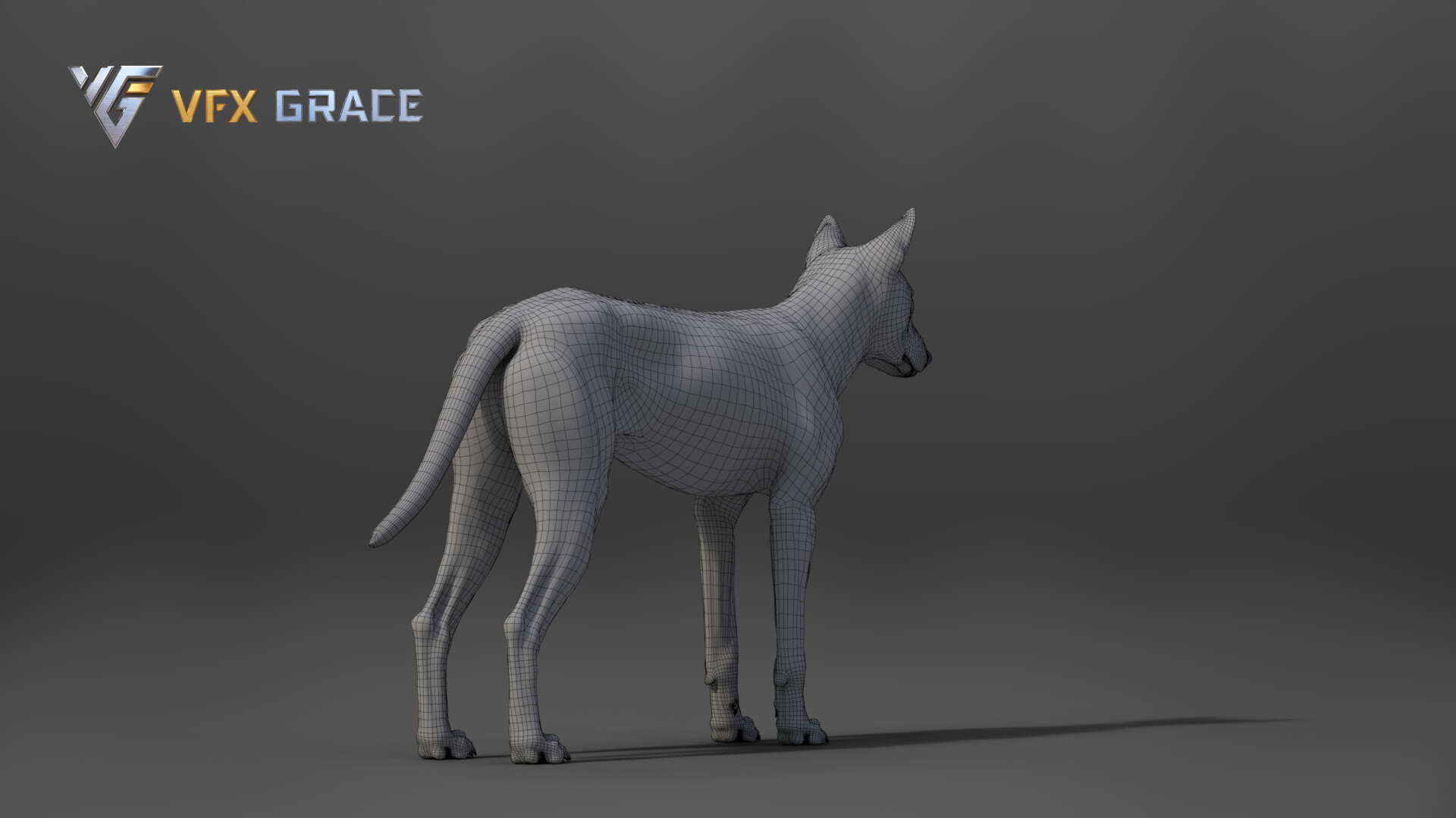 VFX models - Wolf - UE Character Asset