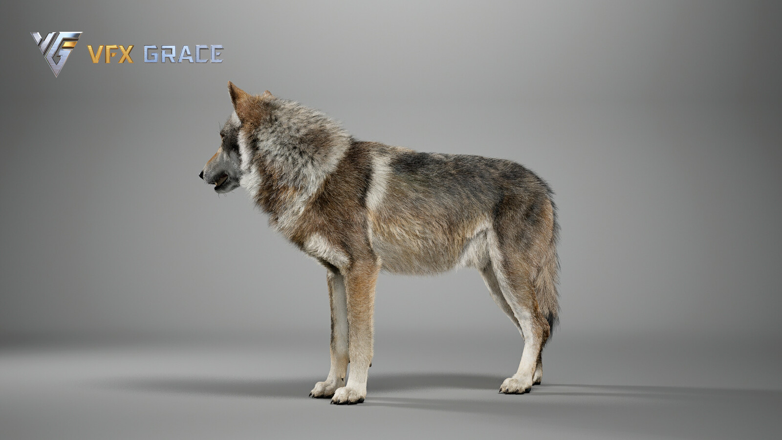 VFX models - Wolf - UE Character Asset