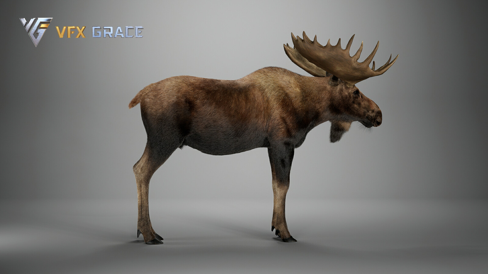 VFX models - Moose Male - UE Character Asset