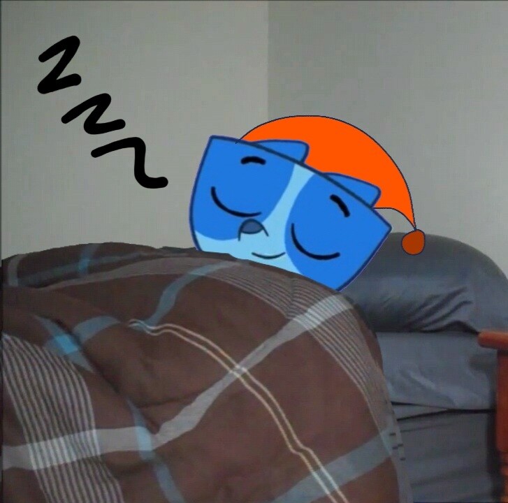 ArtStation - Axel the Raccoon and Tibor the Hippo's Sleeping Positions