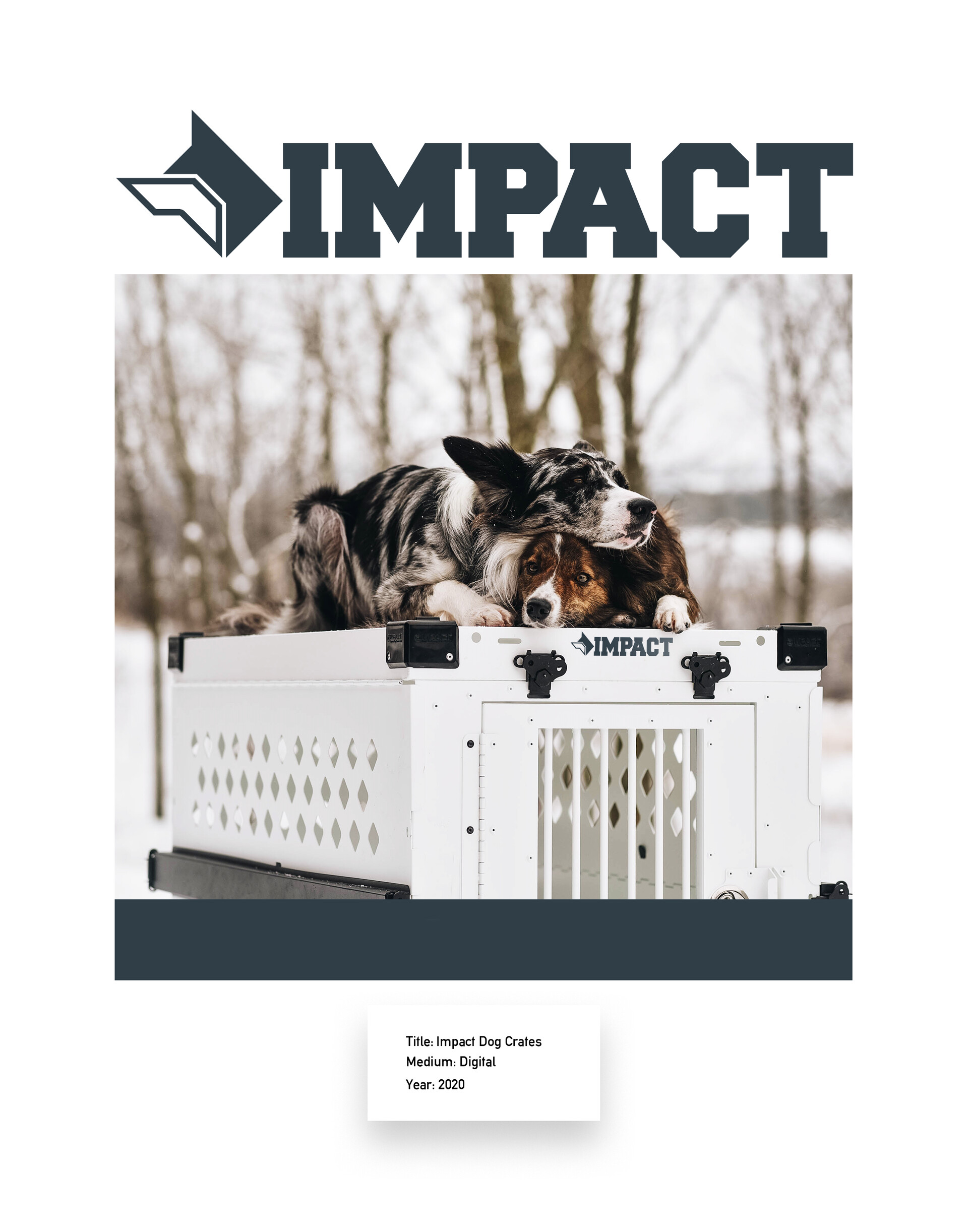 ArtStation - Impact Dog Crates