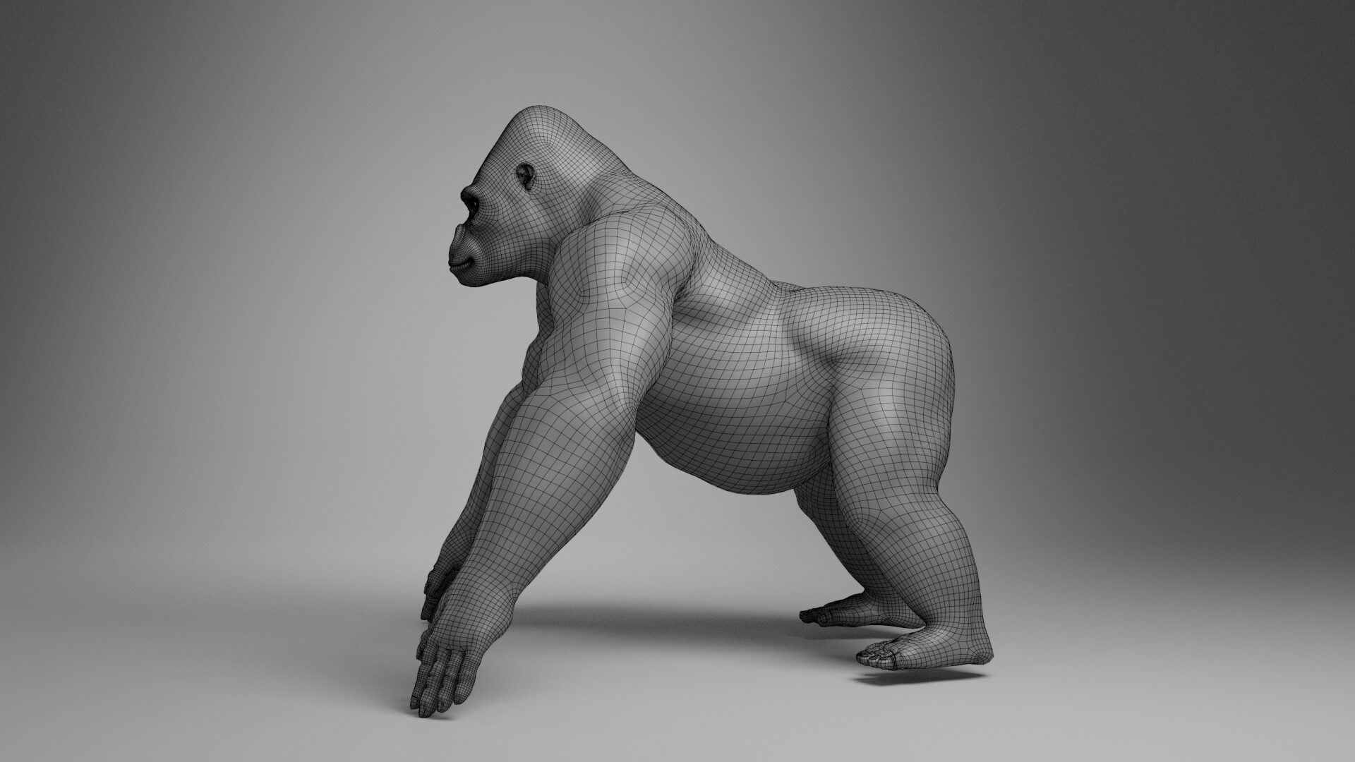 VFX models - Silverback Gorilla Animation | Blender 3d model