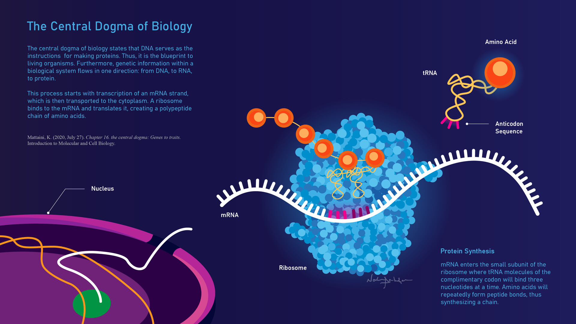 ArtStation - The Central Dogma of Biology