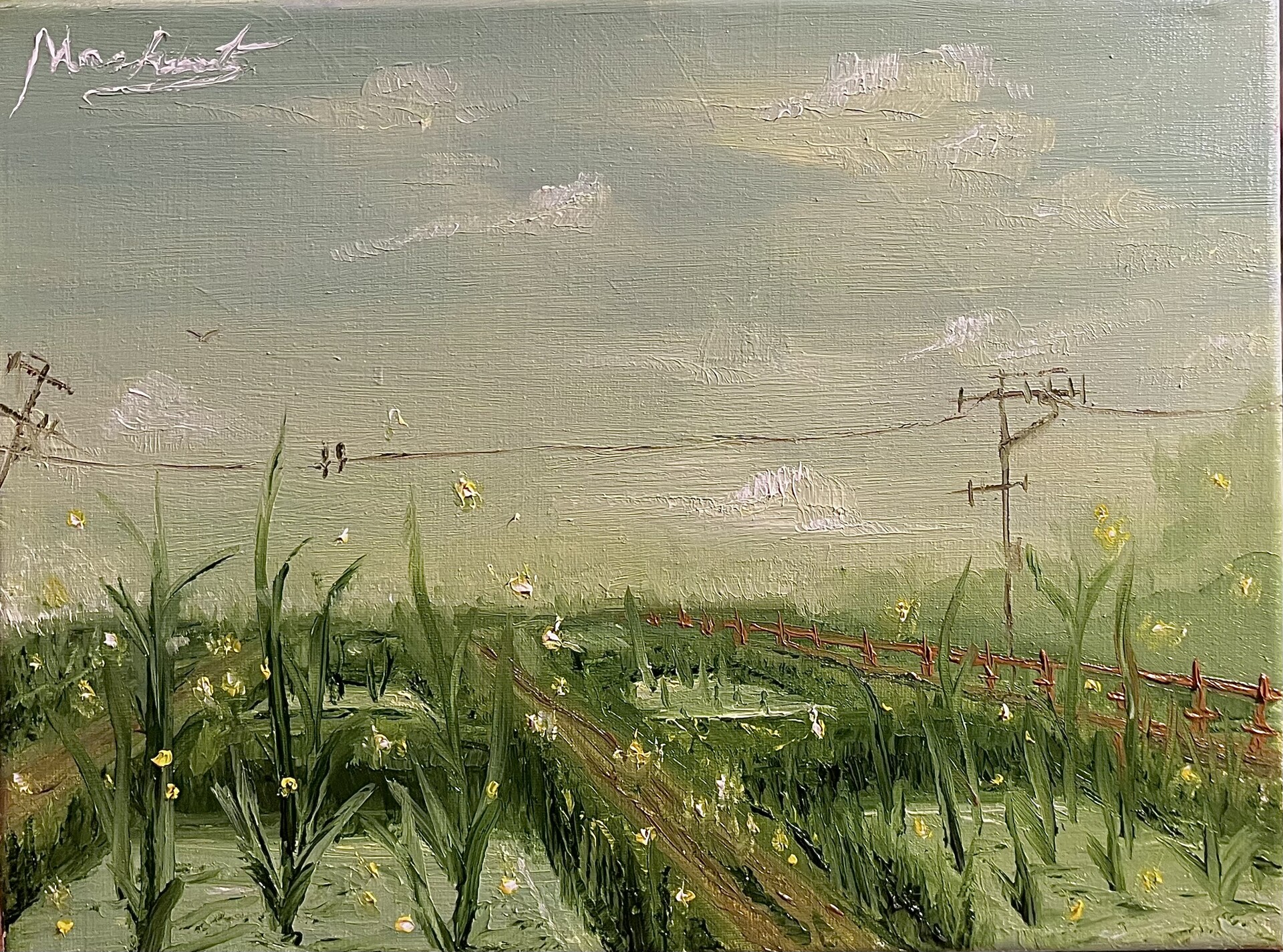 ArtStation - rice fields