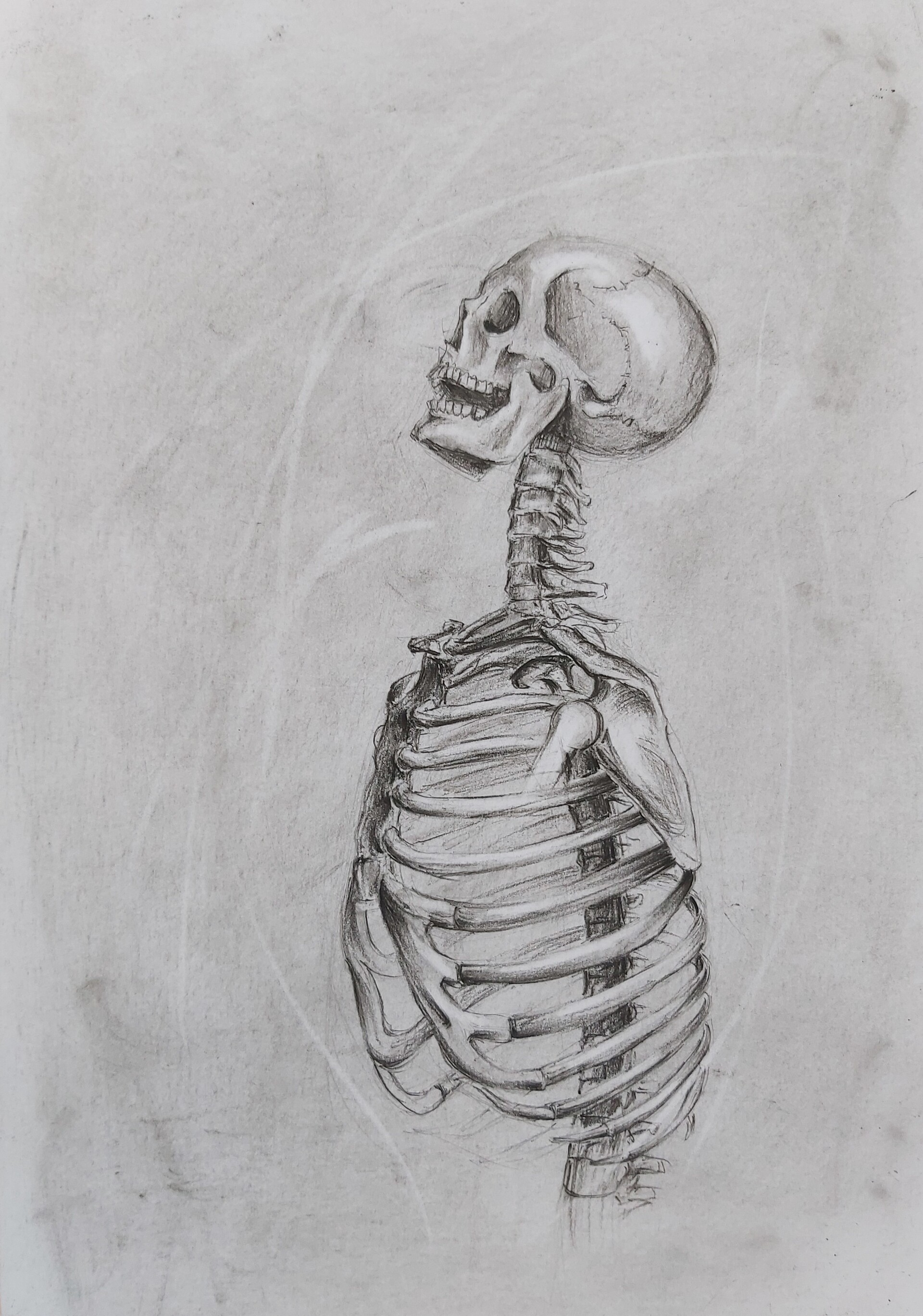 ArtStation - Skeleton render