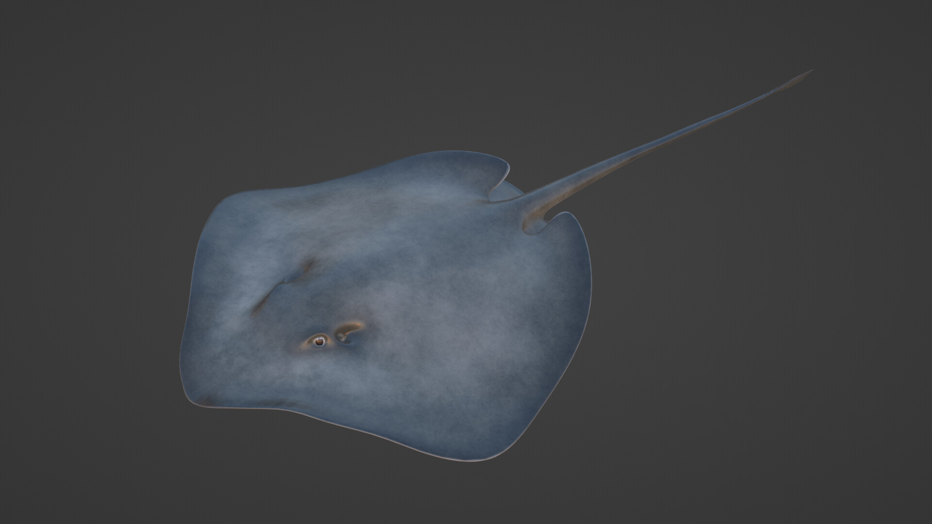 ArtStation - Stingray