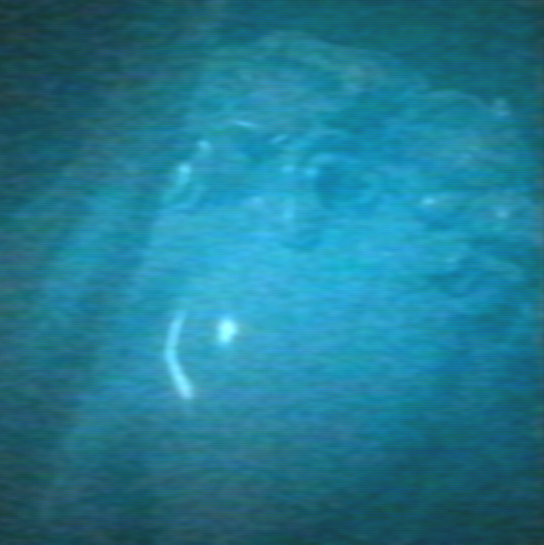 Smplisti - KIMMI_TELEPATH.VOL5