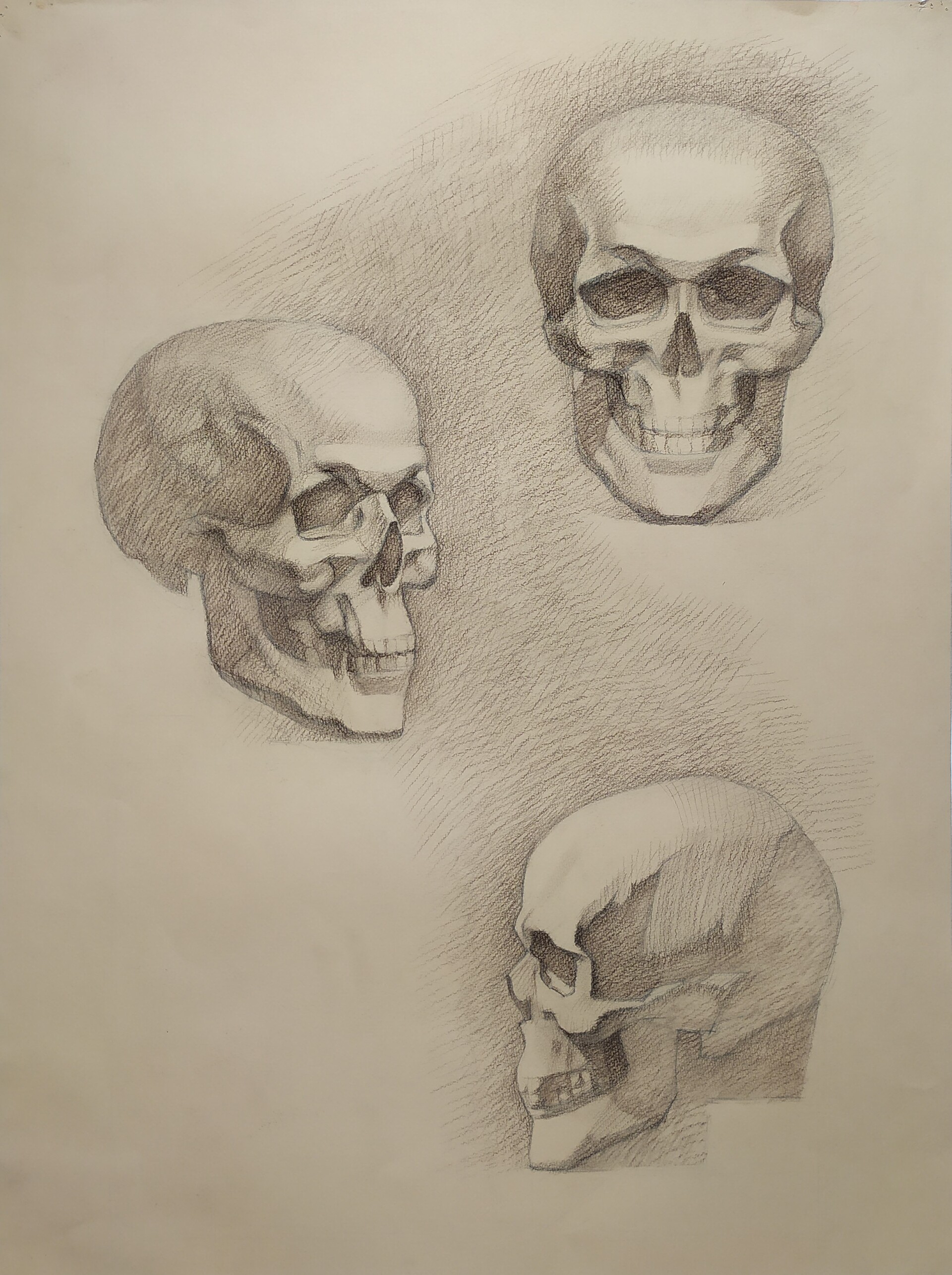 ArtStation - the skull in projections