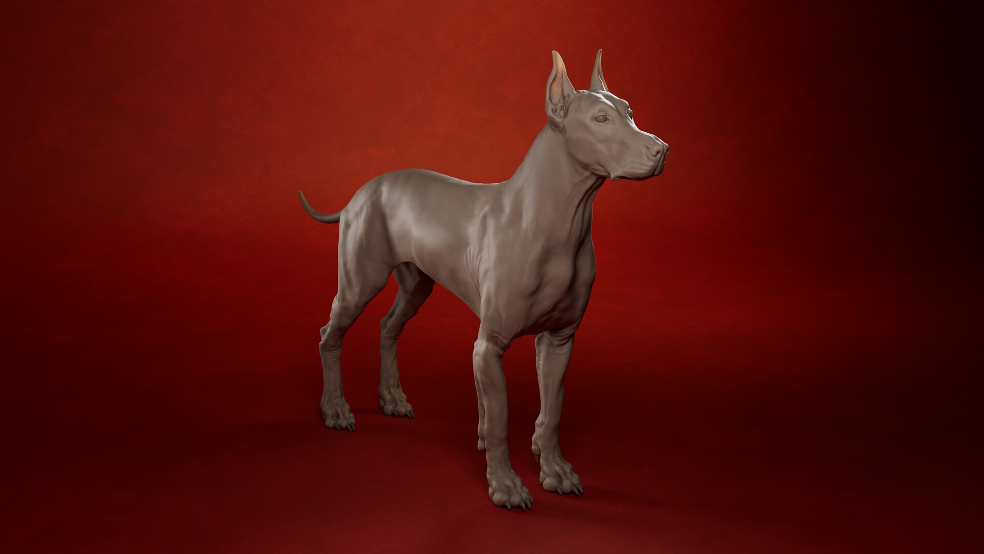 ArtStation - Anatomical Study - Dog