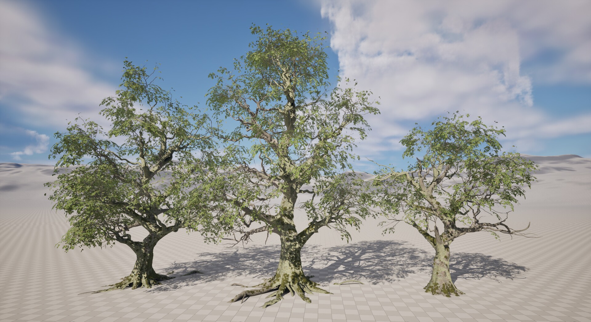 ArtStation - Oak Trees