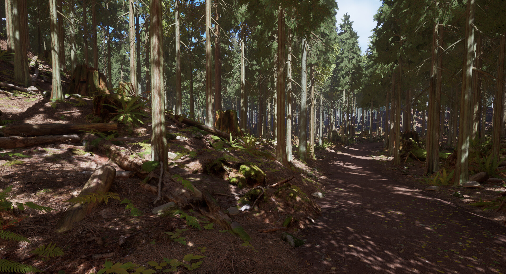 Peter Severud - Photogrammetry Forest Pack