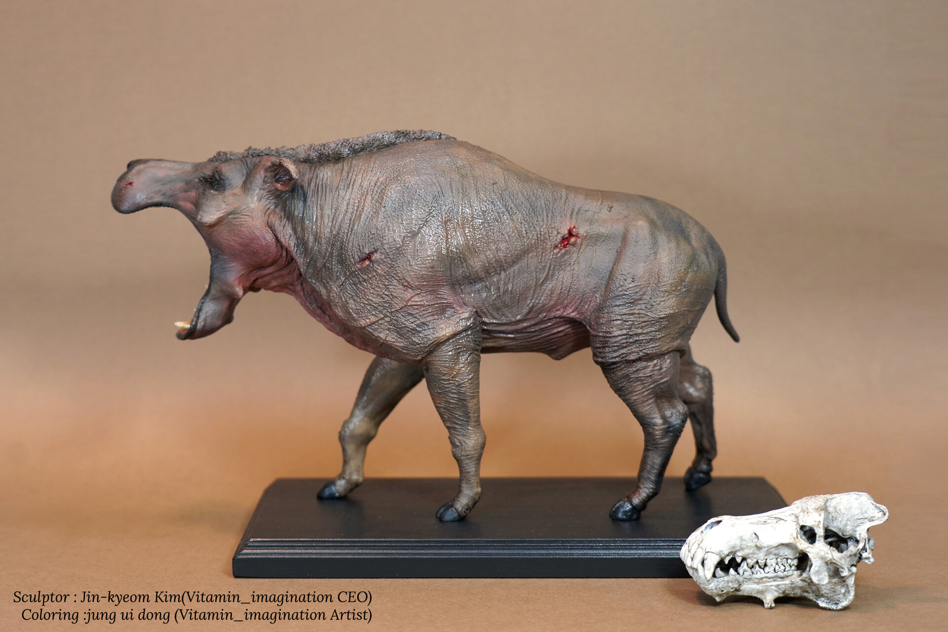 Vitamin Imagination - Daeodon 1:10 Scale restoration model