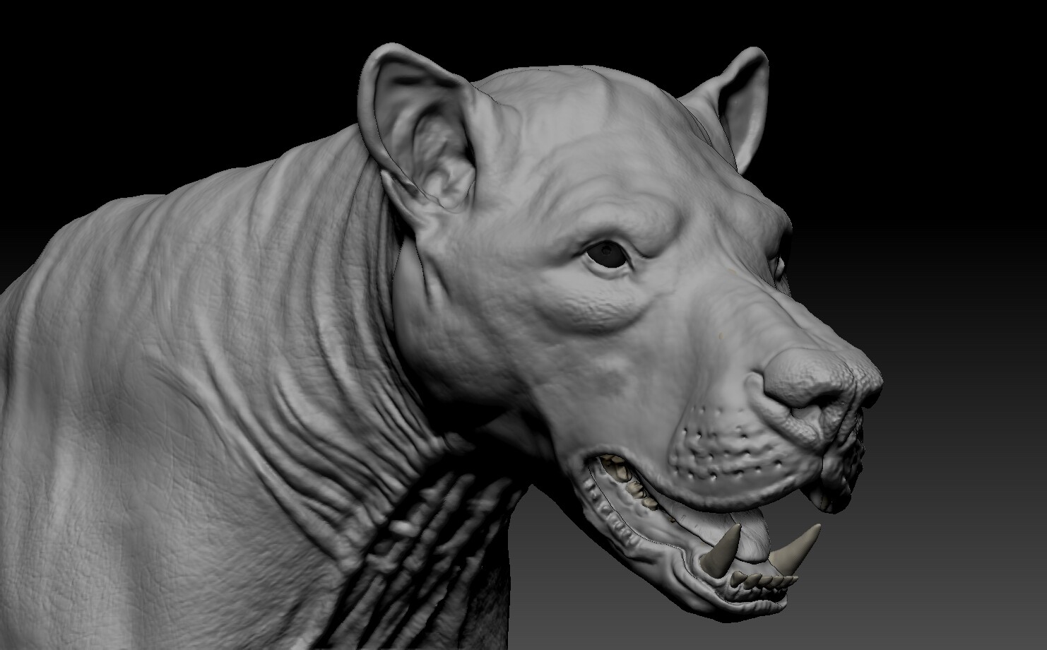 ArtStation - Amphicyon Ingens - Skeleton - Muscles and Skin