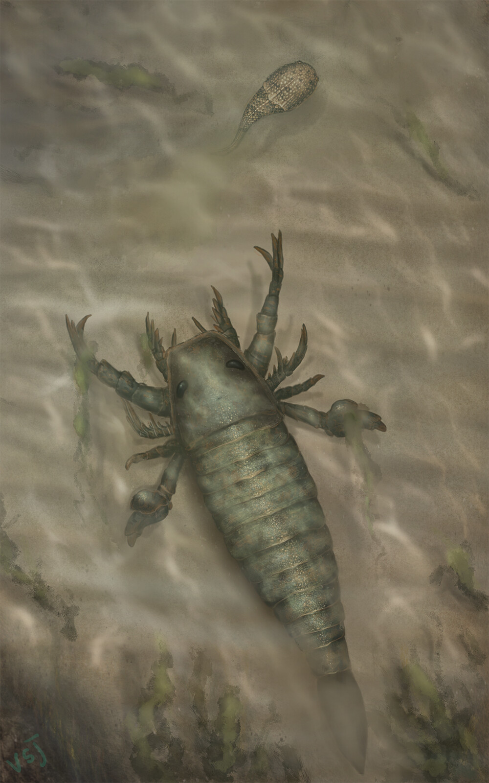 ArtStation - Ordovician: Pentecopterus and Astraspis