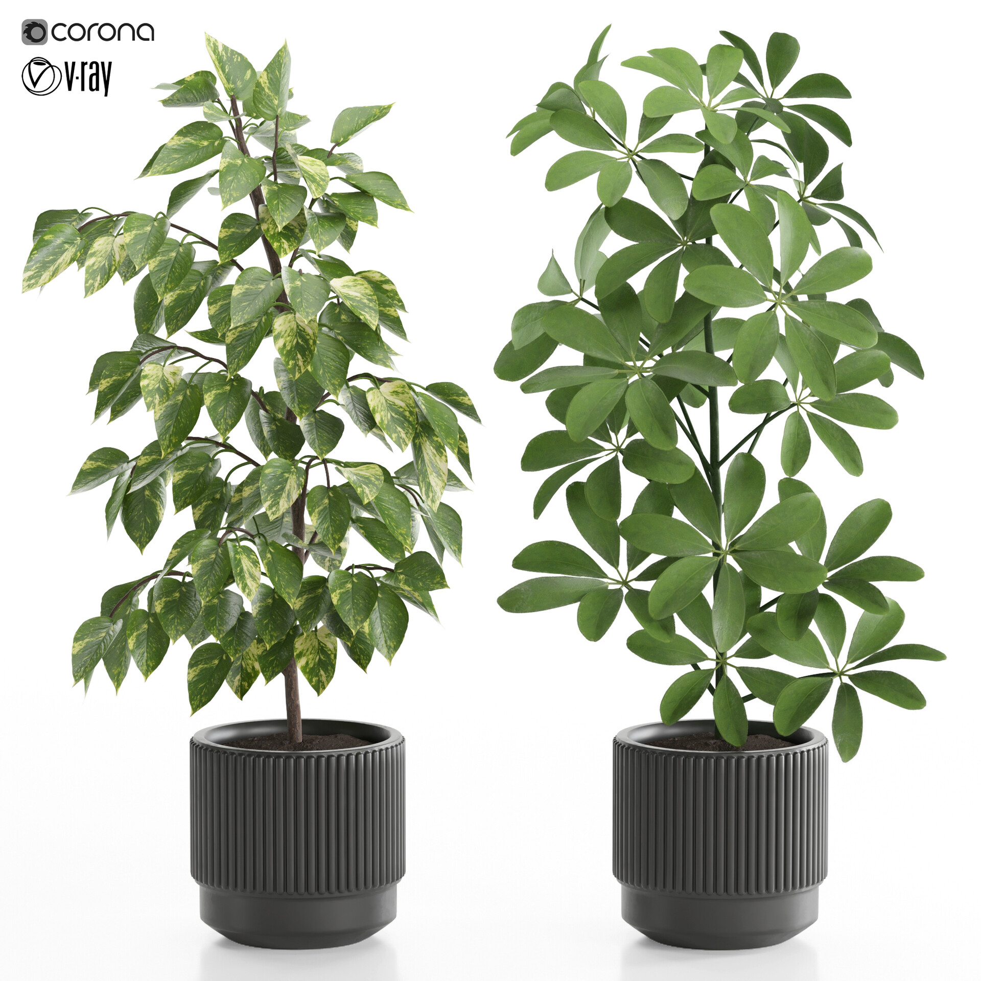 ArtStation - plant set 19