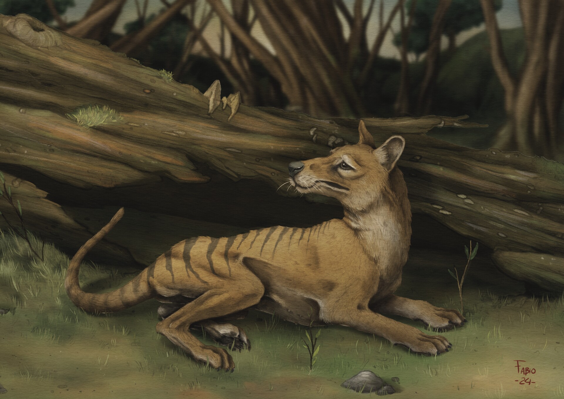 ArtStation - Lost animals