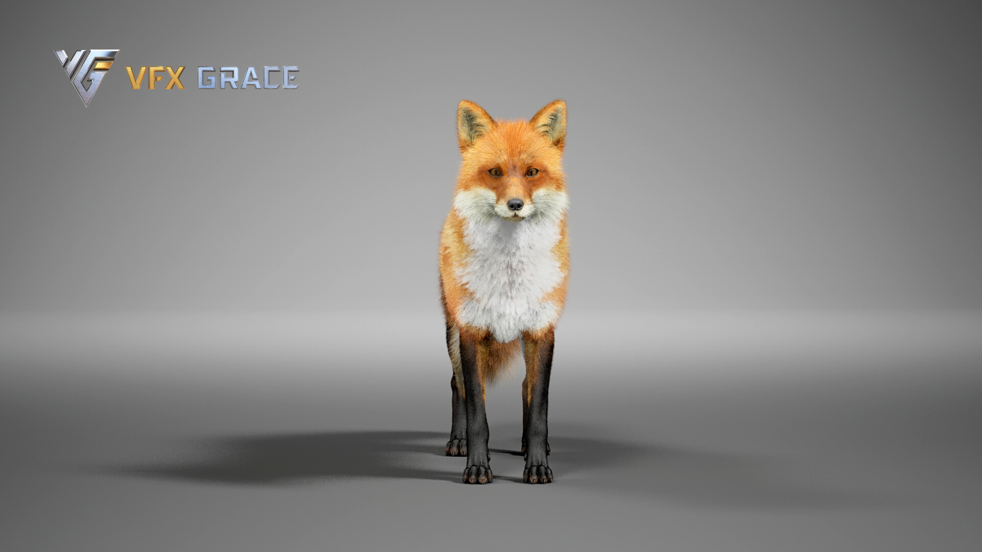 VFX models - Red Fox - UE Character Asset
