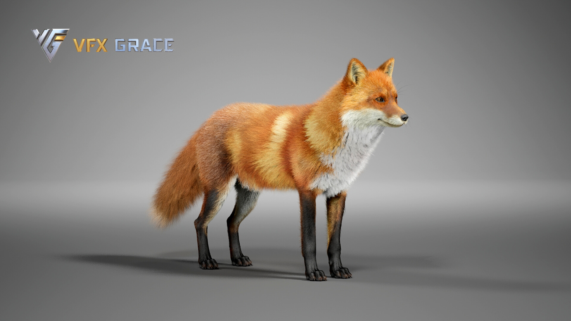 VFX models - Red Fox - UE Character Asset