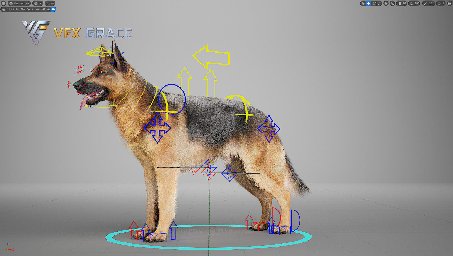 VFX models - German Shepherd - UE Character Asset