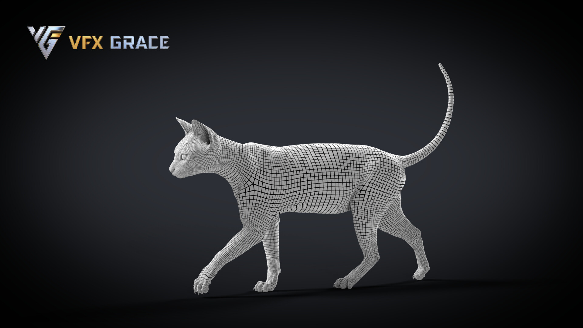 VFX models - Orange Cat - UE Character Asset