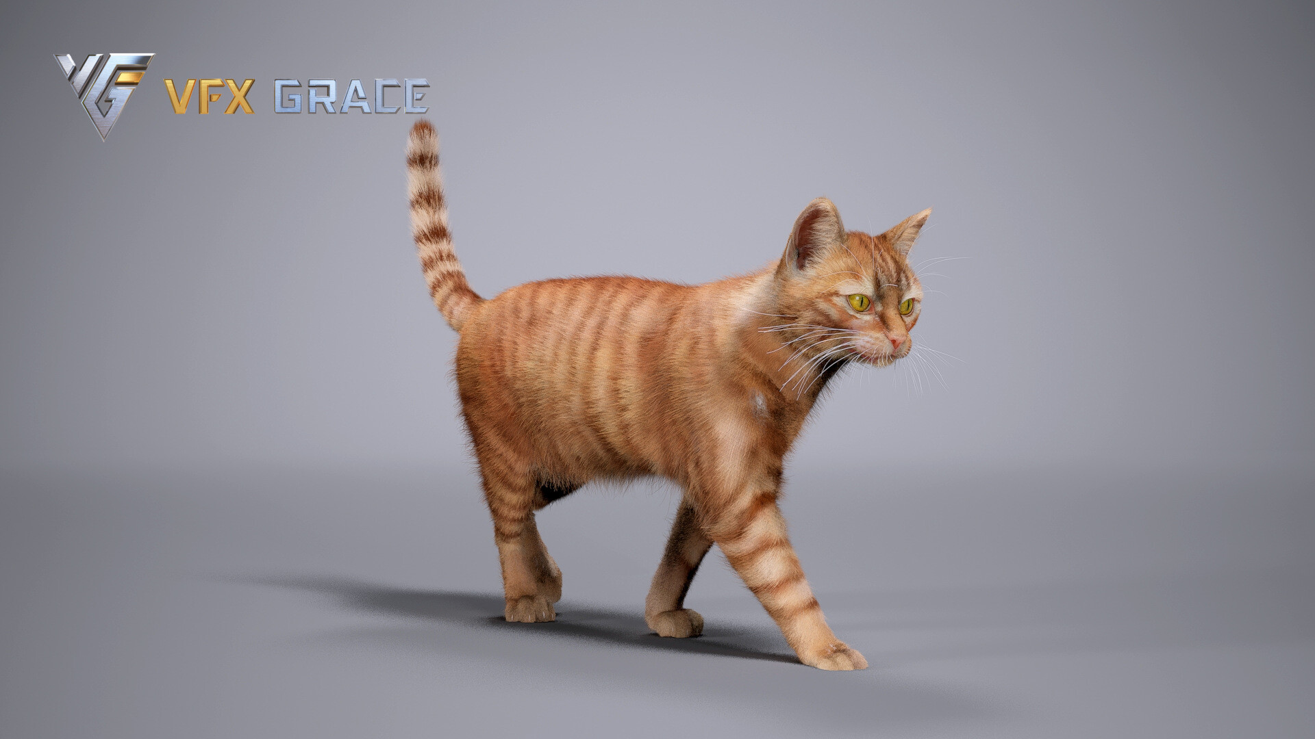 VFX models - Orange Cat - UE Character Asset