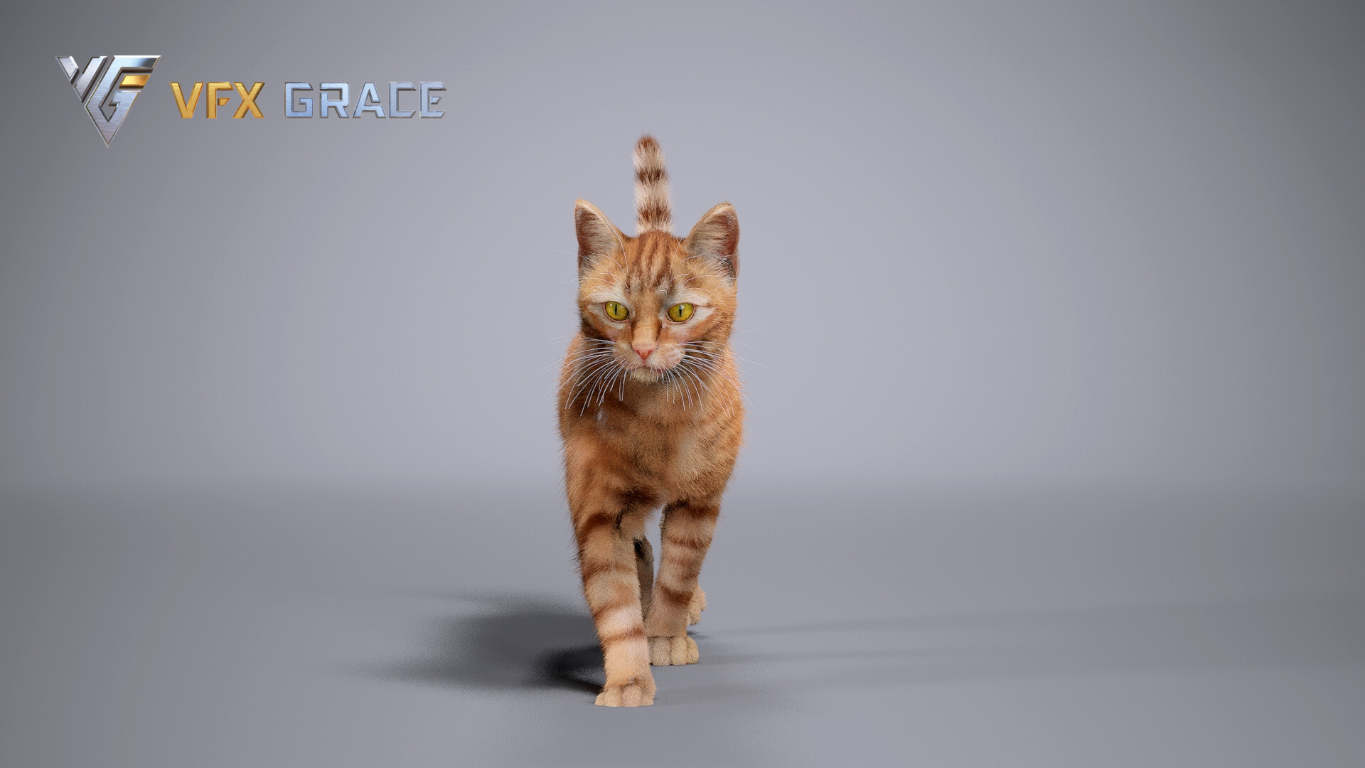 VFX models - Orange Cat - UE Character Asset