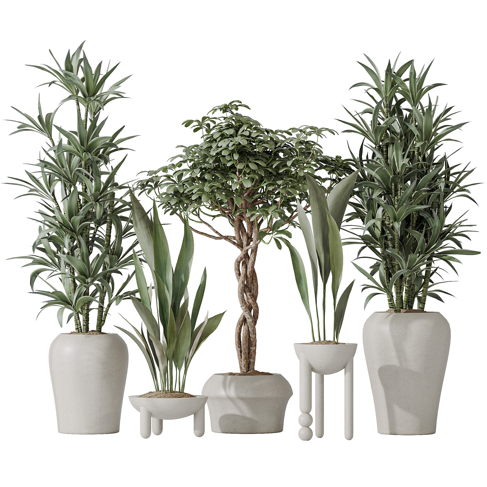 ArtStation - Indoor plant set 06
