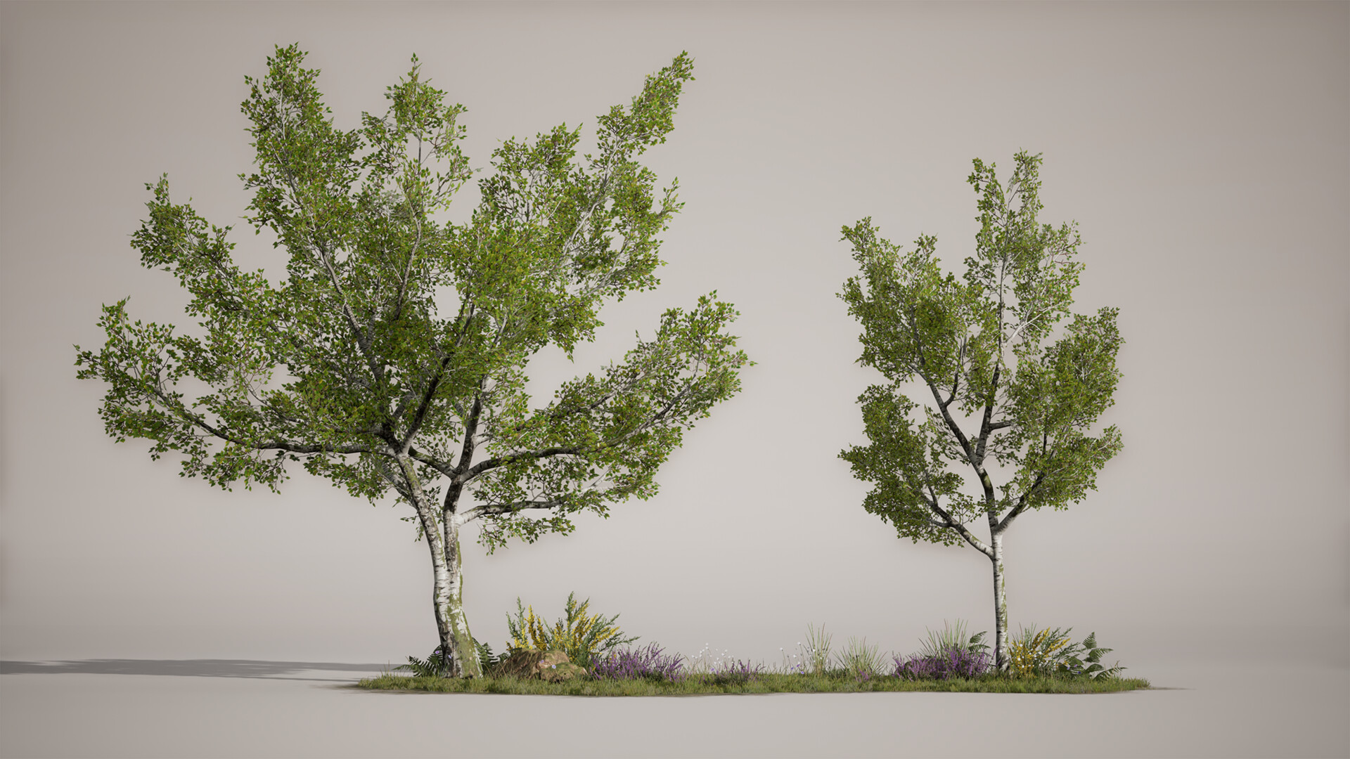 Alex J Wood - Highland Foliage