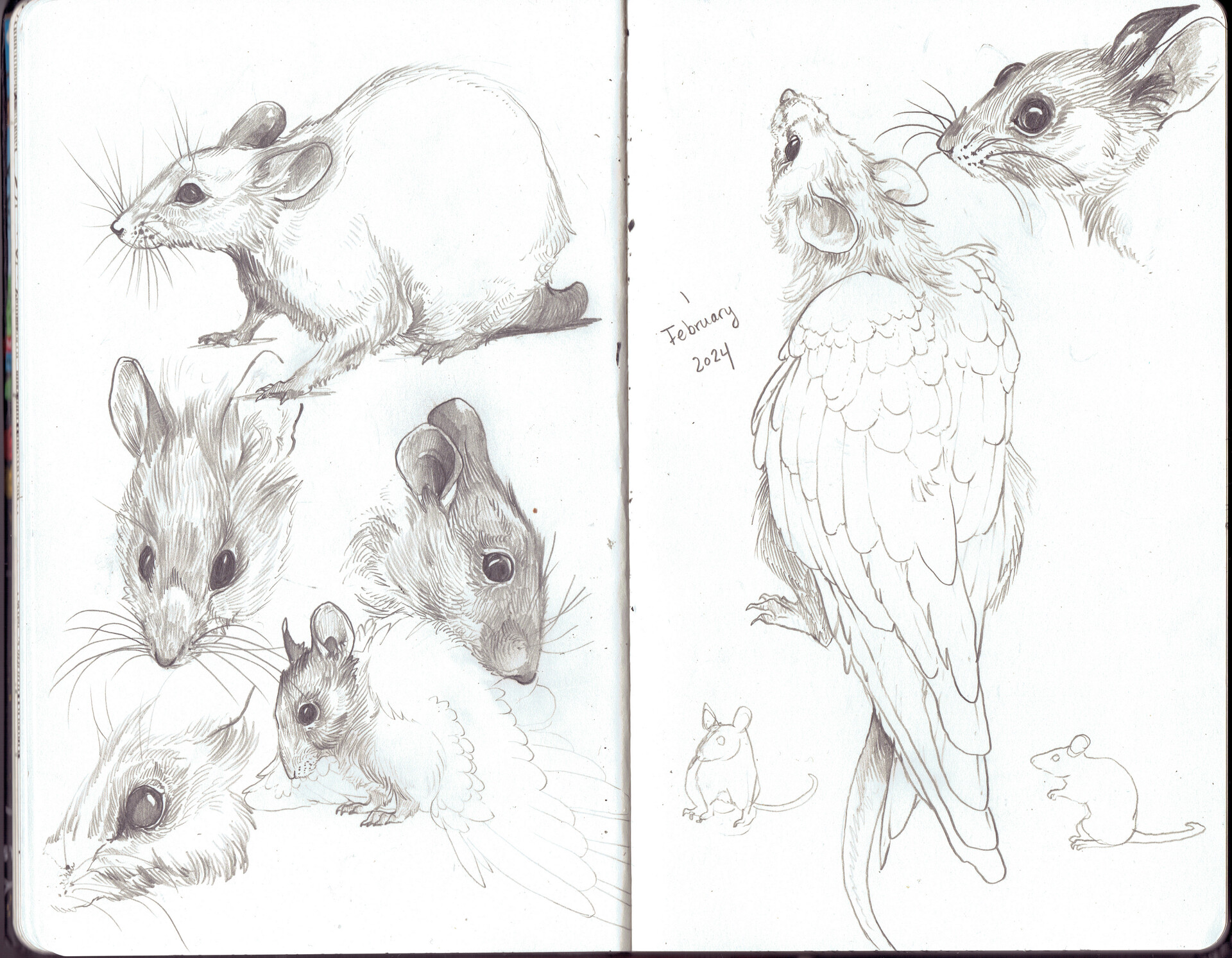 ArtStation - mice