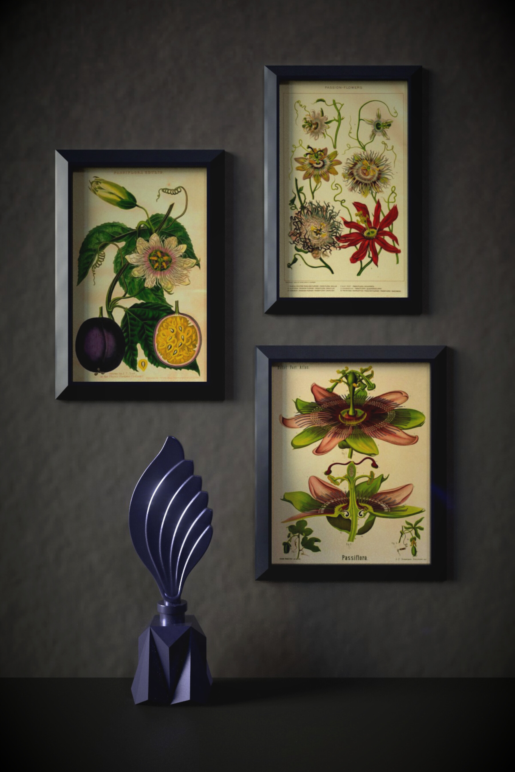 ArtStation - Passiflora