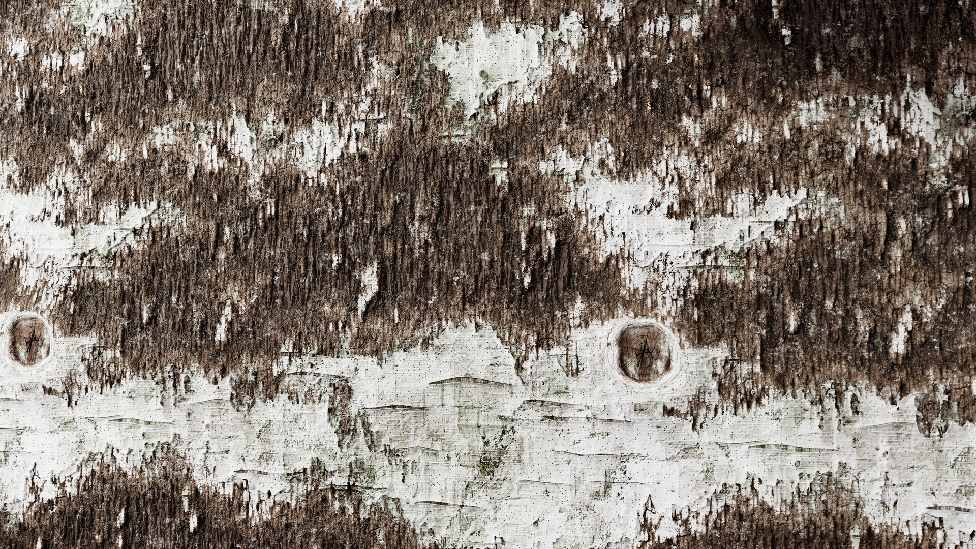 InstaMAT - Bare River Birch Wood Peeled