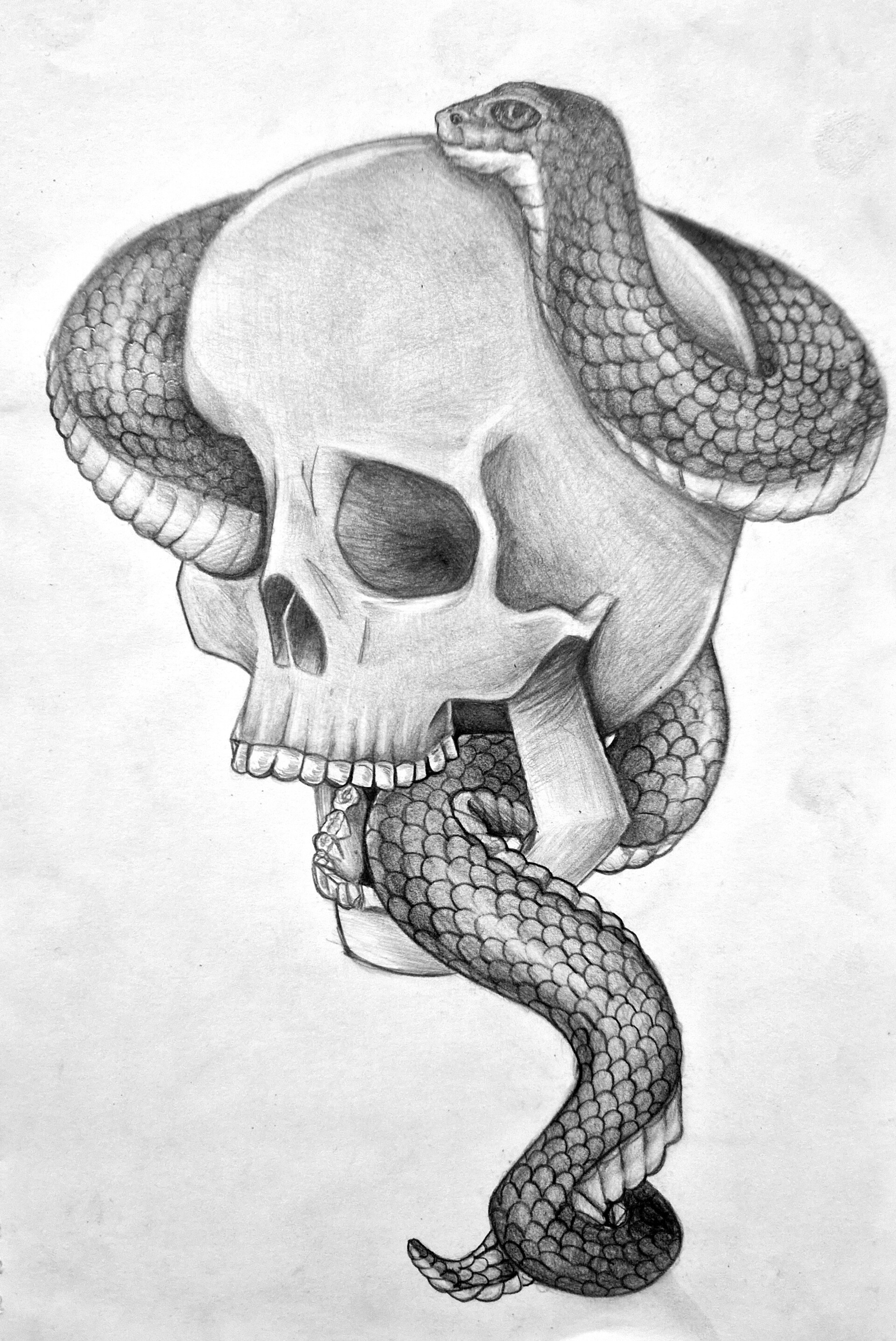 ArtStation - Sketch design - Skull & Snake