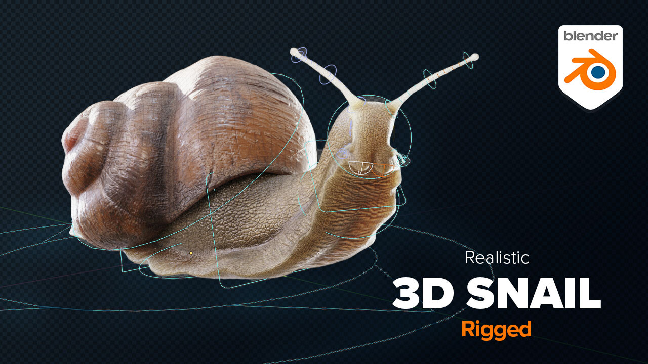 ArtStation - 3D Snail