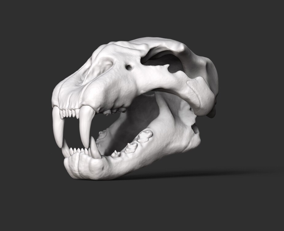 ArtStation - Majestic Lion Skull Sculpt - Intricately Detailed 3D Model