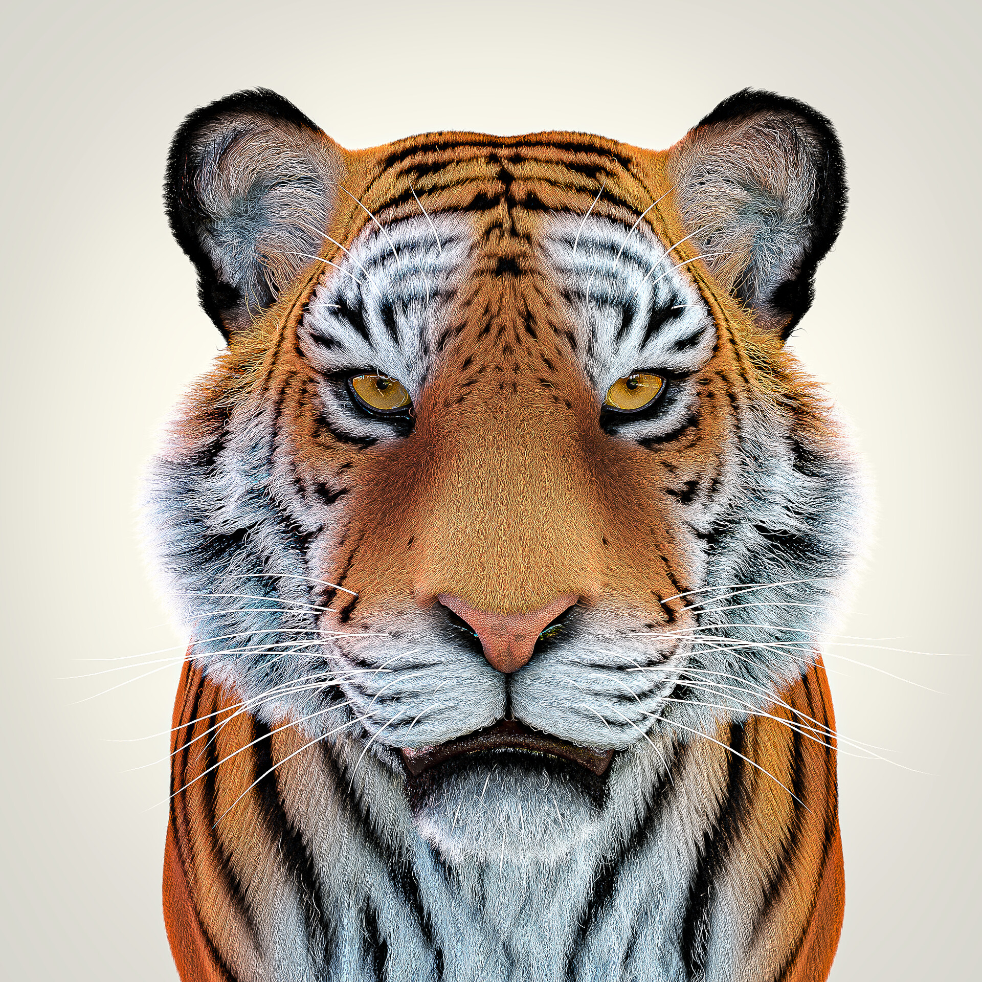 ArtStation - Bengal Tiger