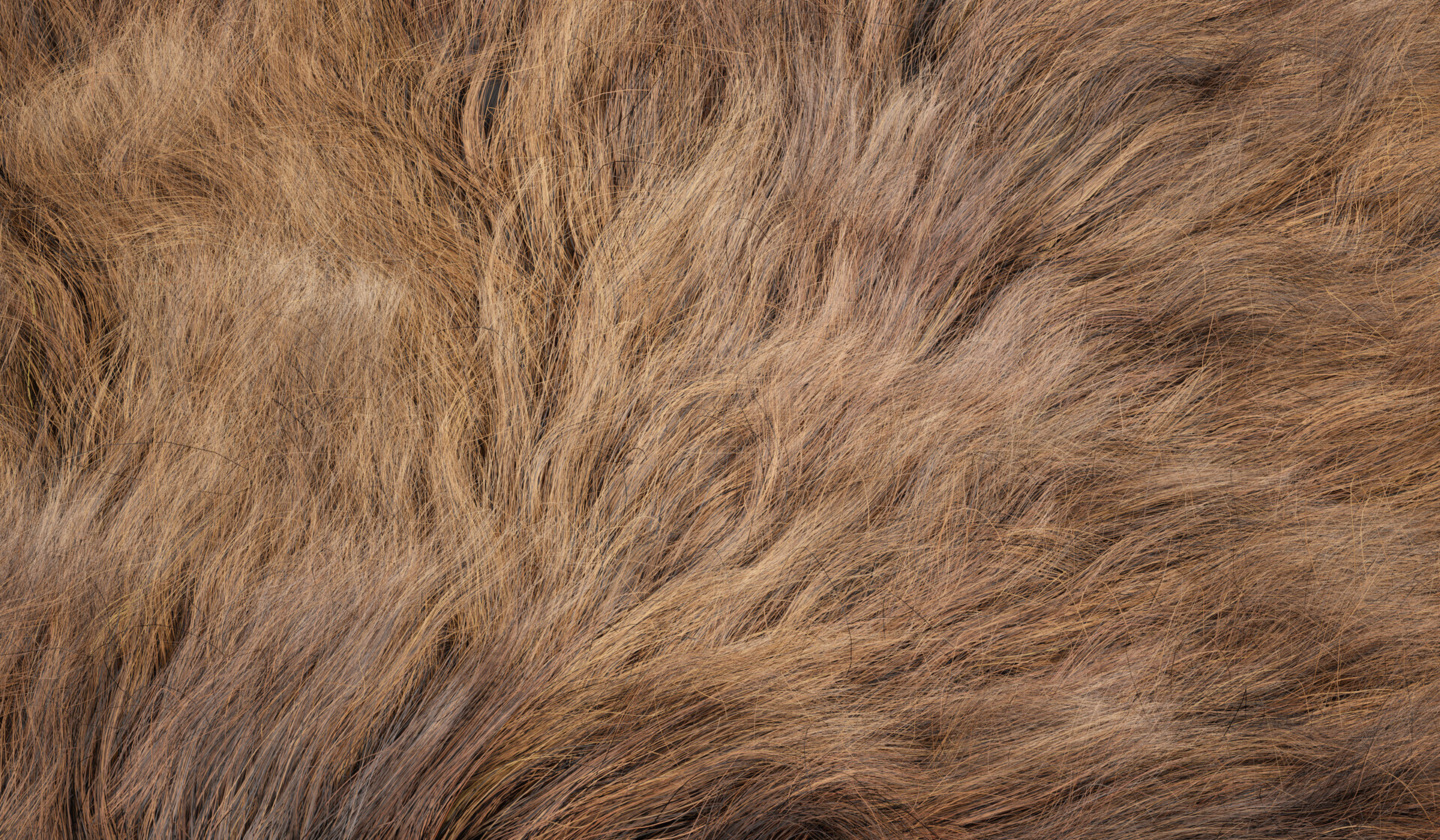 GroomTD/LookDev - Andrew Krivulya - Ornatrix for Unreal Engine 5 ...