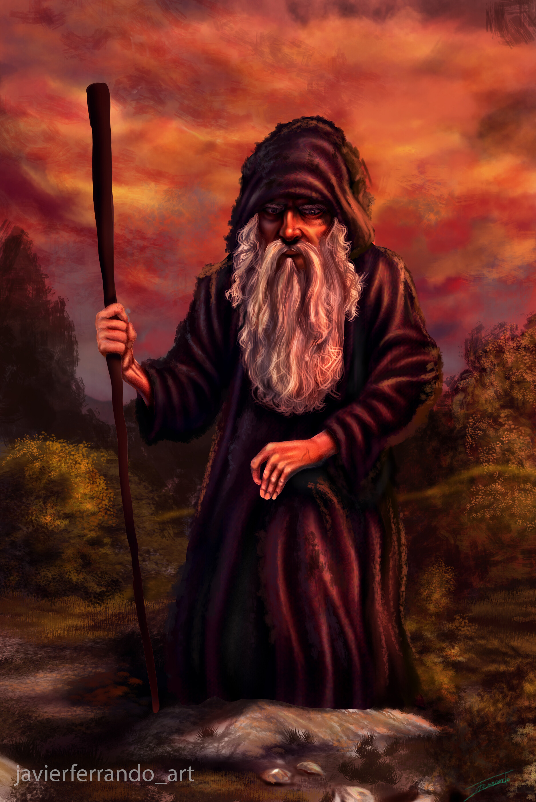 Javier Ferrando - Wizzard 1