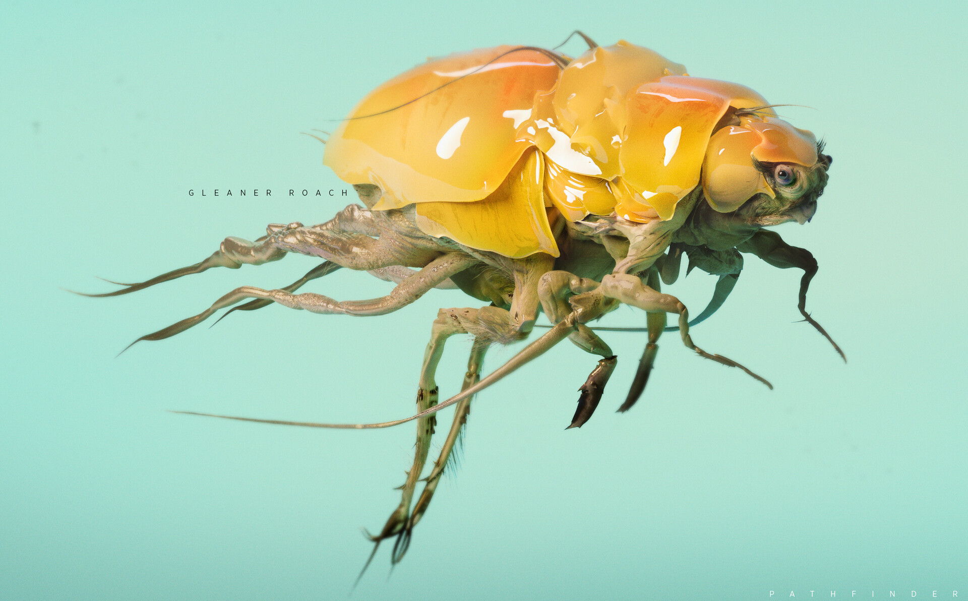 ArtStation - Gleaner Roach 2