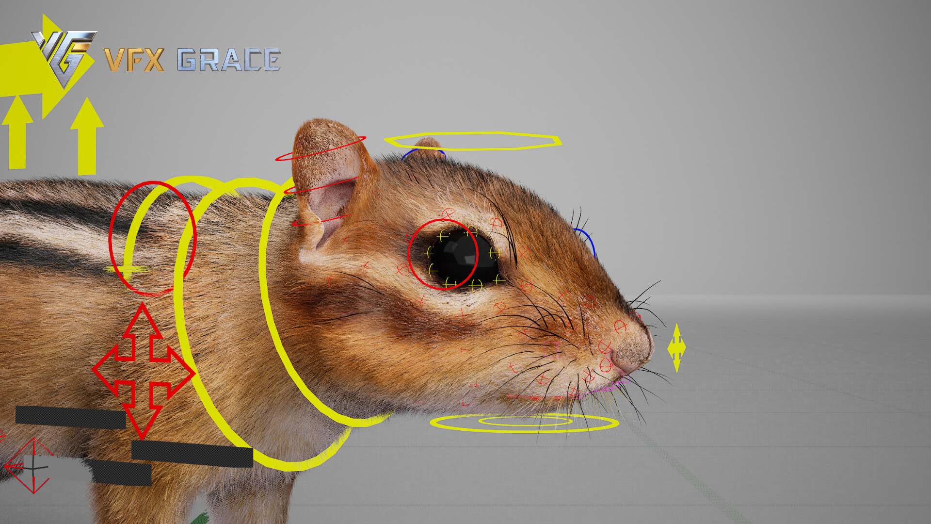 VFX models - Chipmunk - UE Character Asset