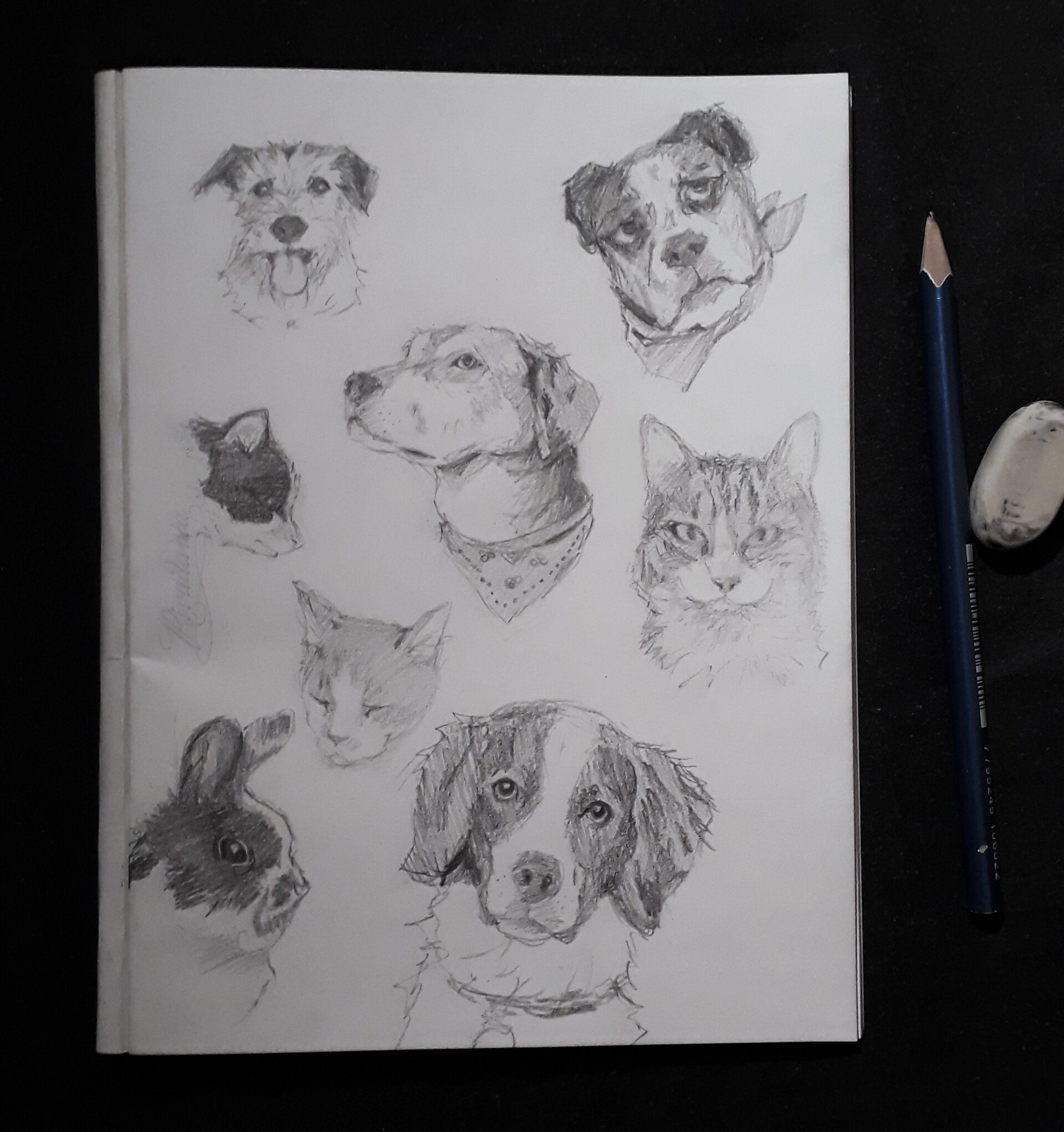 ArtStation - Random pets