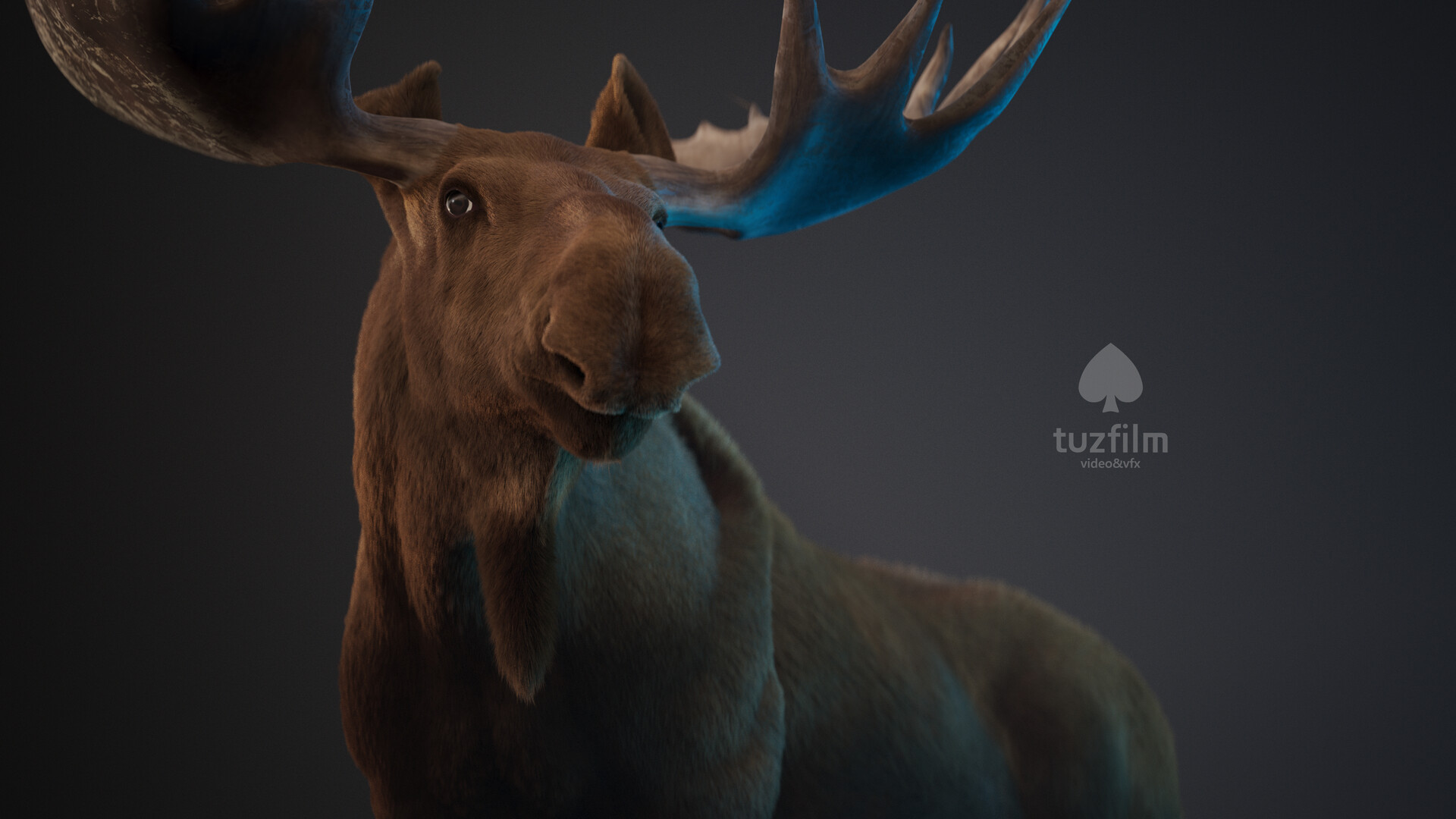 ArtStation - MOOS_Animation