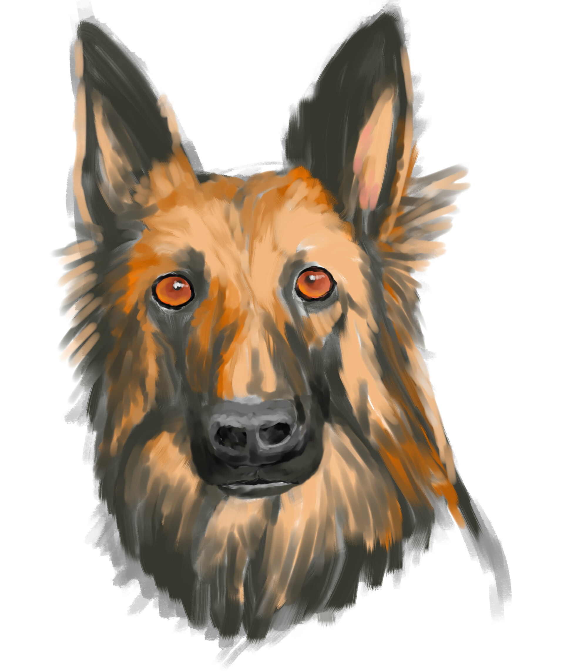 ArtStation - Doge Portrait