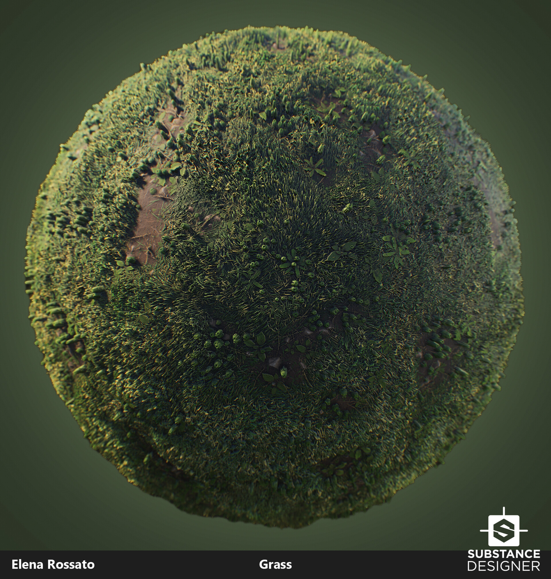 ArtStation - Grass - Substance Designer