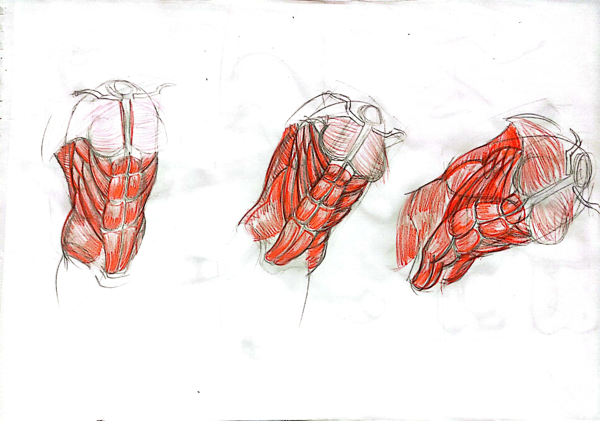 ArtStation - Movement of the torso