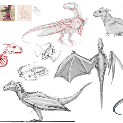 half folded dragon wings